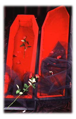 Coffin by Victorian Maiden